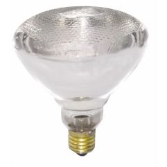 Heat lamp - Globe Replacement - Haines Educational