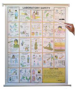Chart, Laboratory safety - Haines Educational