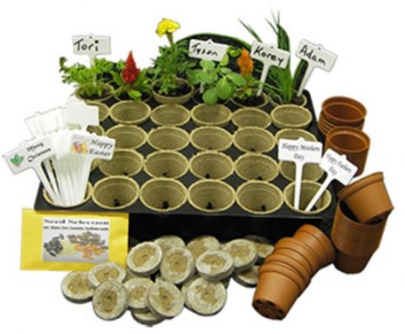 Plant propagation, classroom kit - Haines Educational